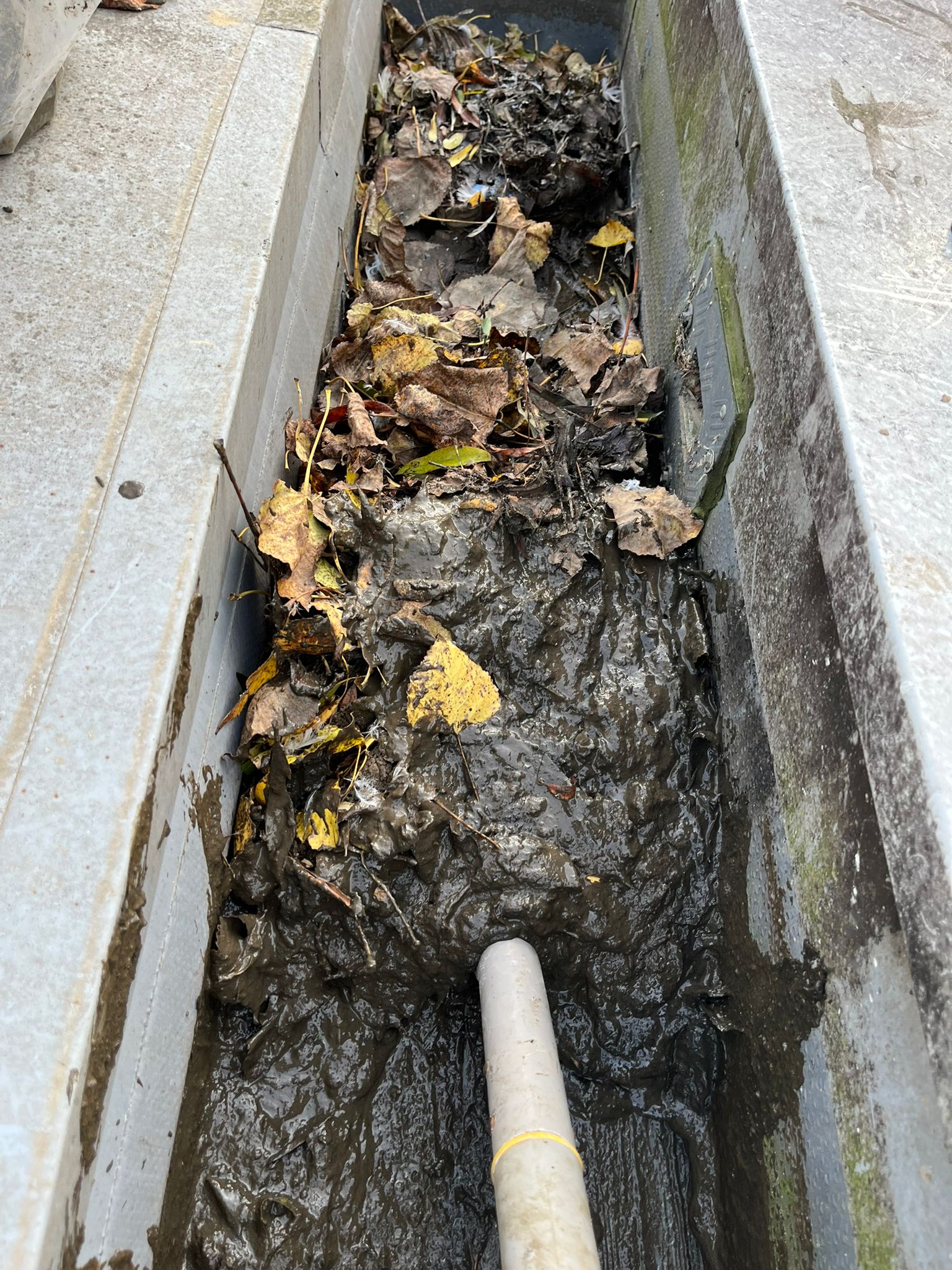 Gutter Cleaning & Clearance | Southern Window & General Cleaning